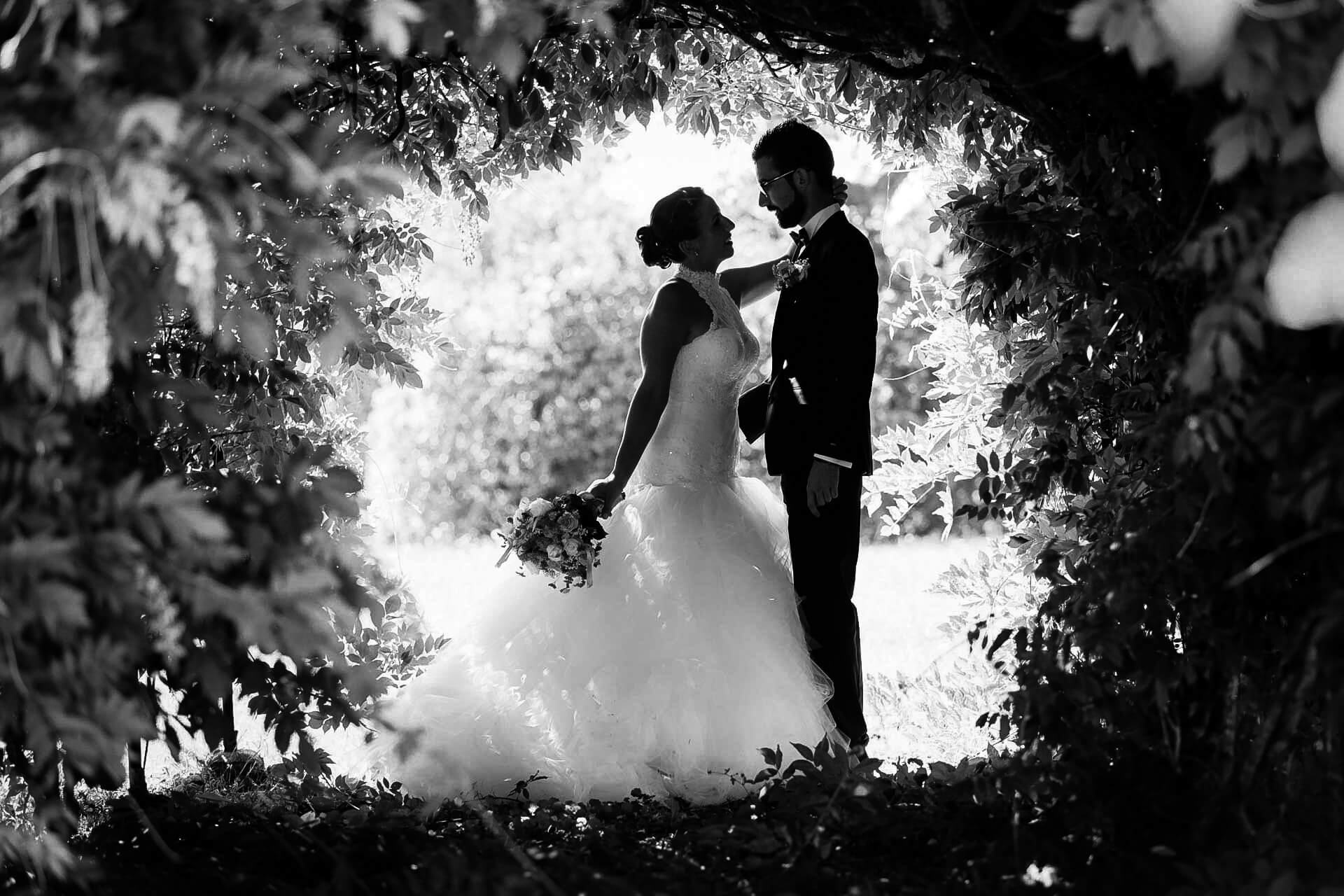 Photographe professionnel à Belfort - Tim Platt Photographie